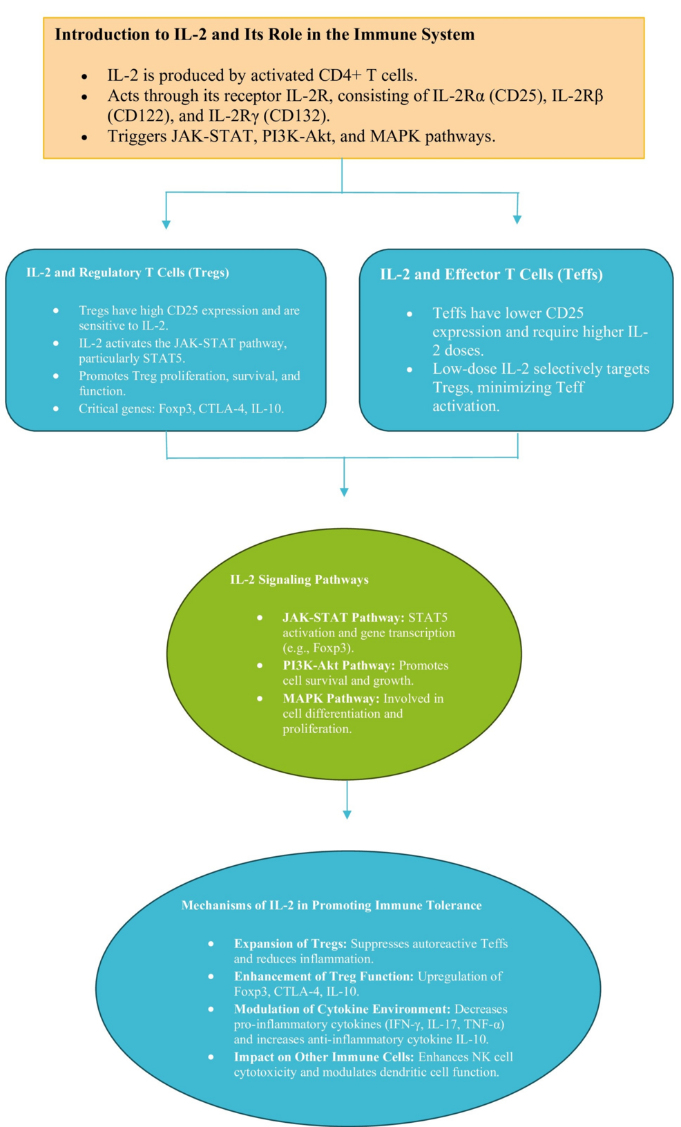 A Comprehensive Review of Low-Dose Interleukin-2 (IL-2) Therapy for ...
