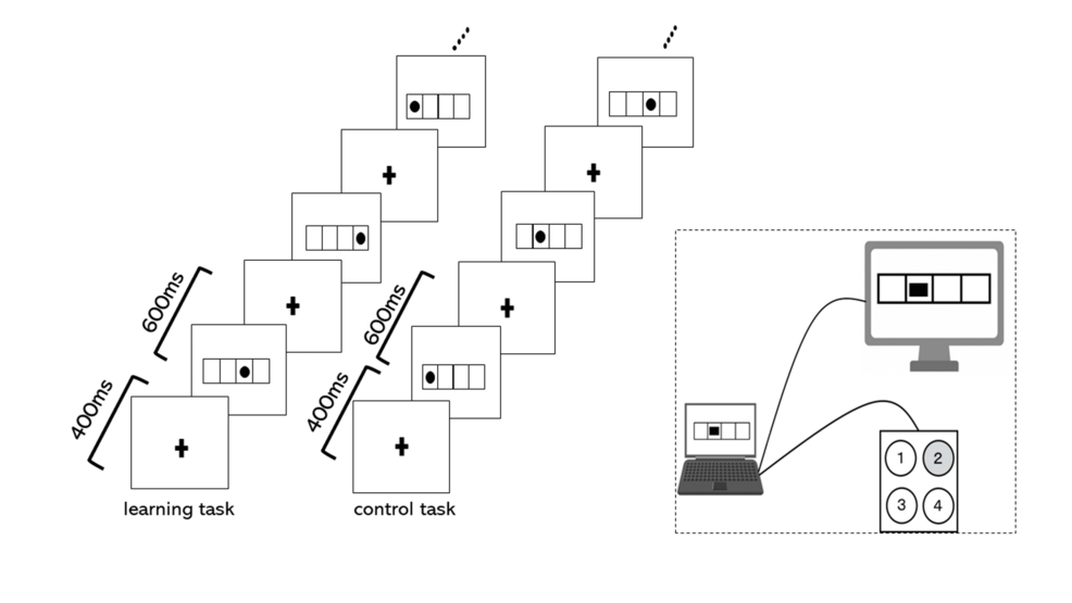 Classifying Learning Speed Using Brain Networks and Psychological ...