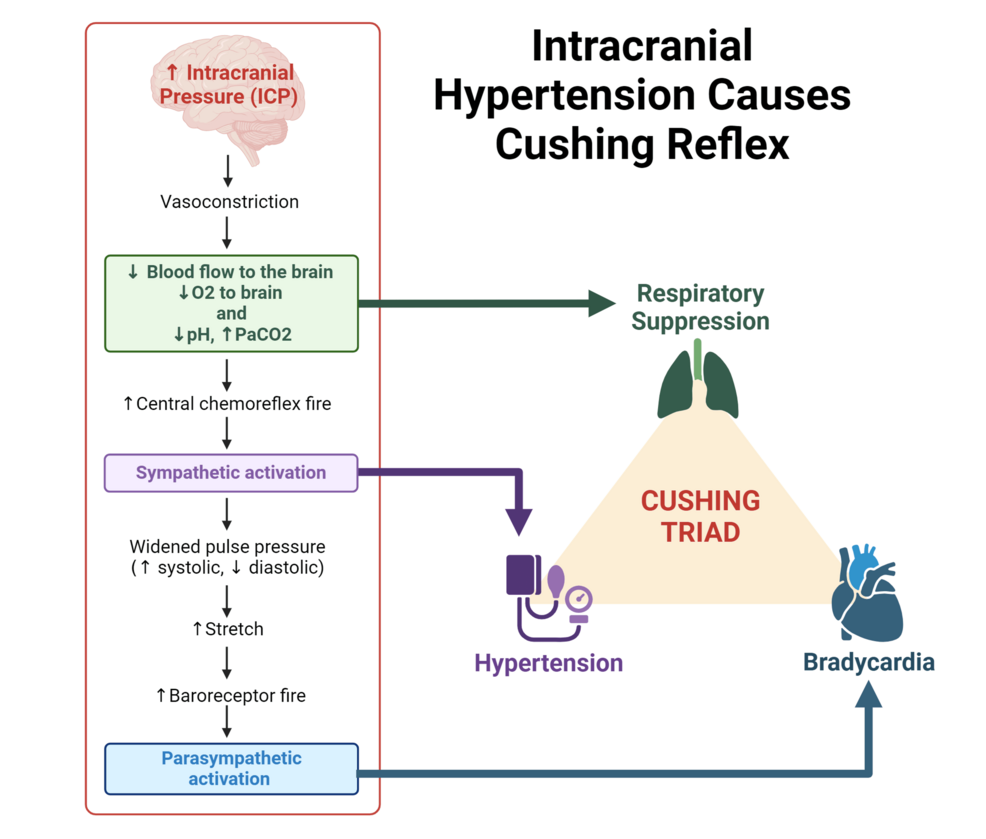 Navigating the Role of Surgery in Optimizing Patient Outcomes in ...