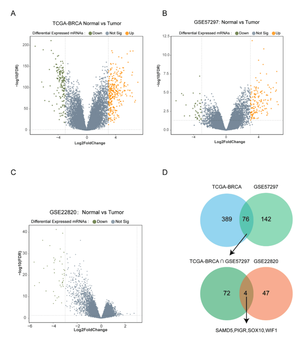 Sterile Alpha Motif Domain-Containing 5 Suppresses Malignant Phenotypes ...