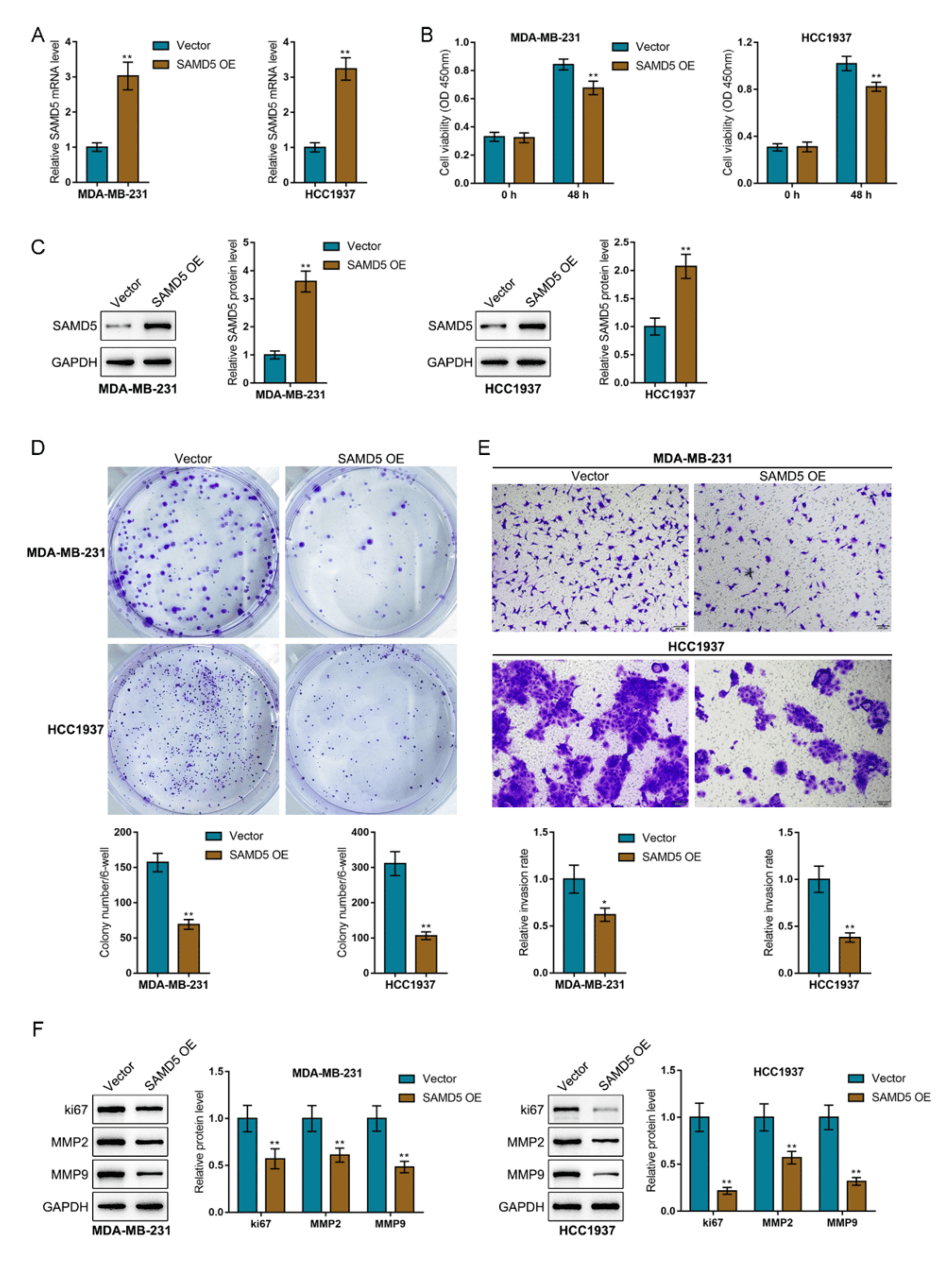 Sterile Alpha Motif Domain-Containing 5 Suppresses Malignant Phenotypes ...