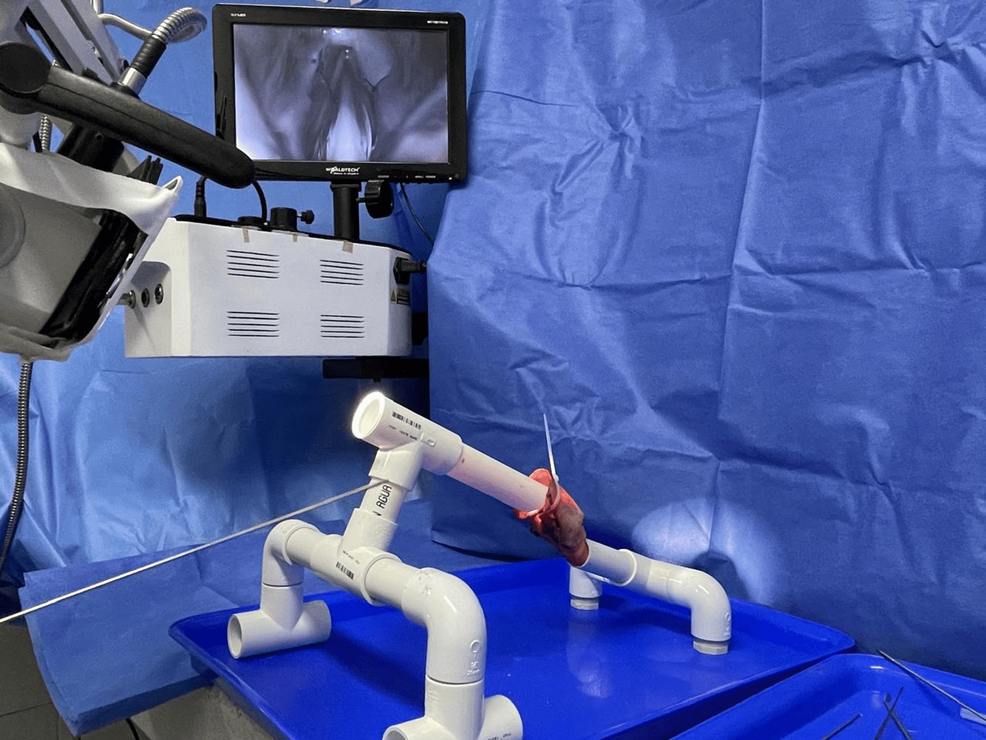 Building an Easy-to-Assemble, Low-Cost Phonomicrosurgery Dissection ...