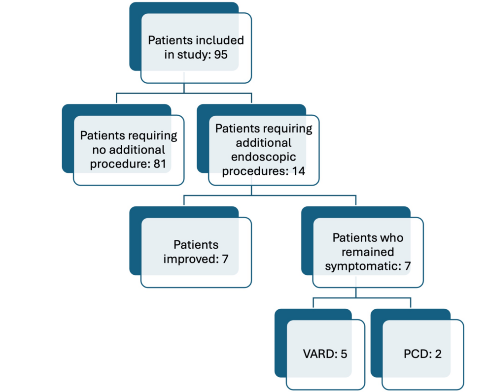 Efficacy and Safety of Endoscopic Ultrasound (EUS)-Guided Lumen ...