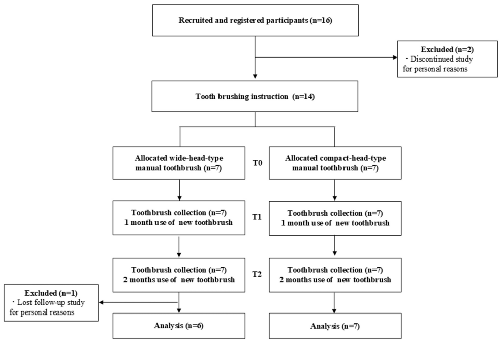 Change in the Pattern of Tuft-Level Wear in Wide-Head Manual ...
