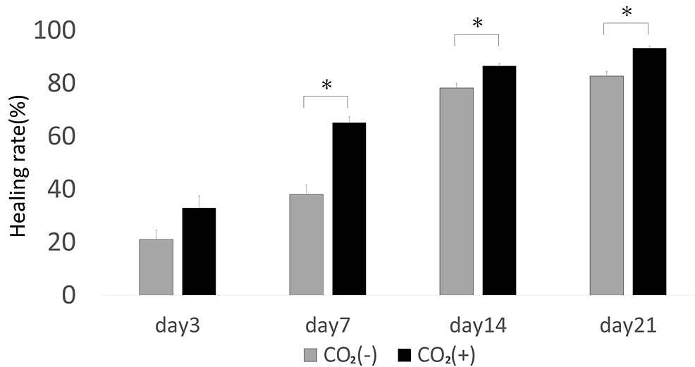 Local Application of Transcutaneous Carbon Dioxide Paste Decreases ...