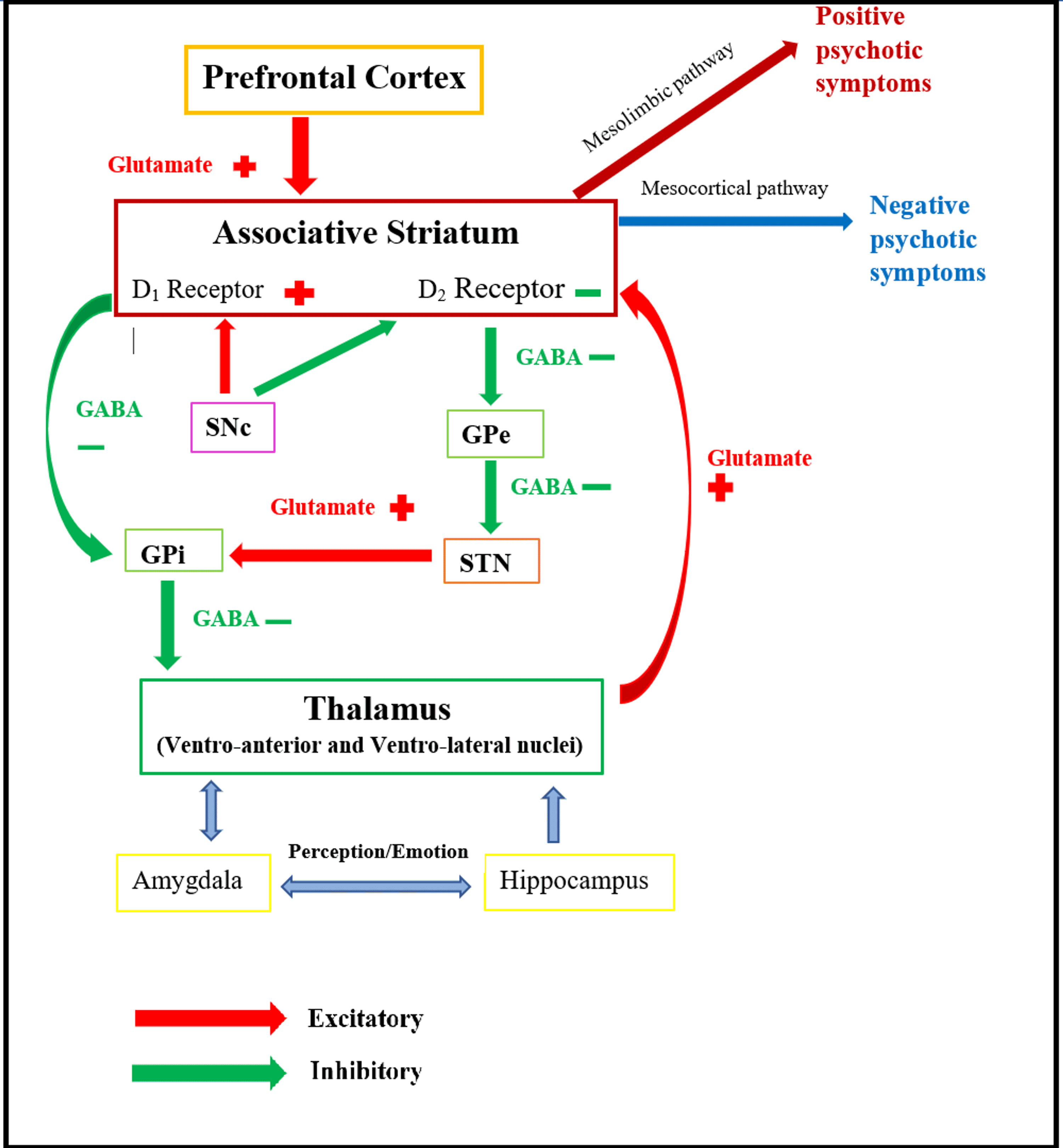 Cureus Neurobiology Of Schizophrenia A Comprehensive Review
