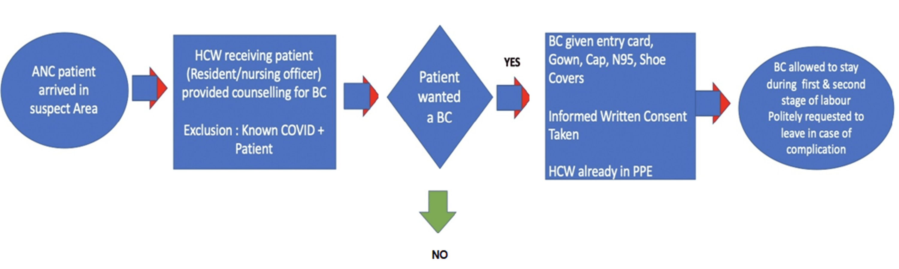 Cureus | Implementing the Practice of Birth Companion in Labor During ...