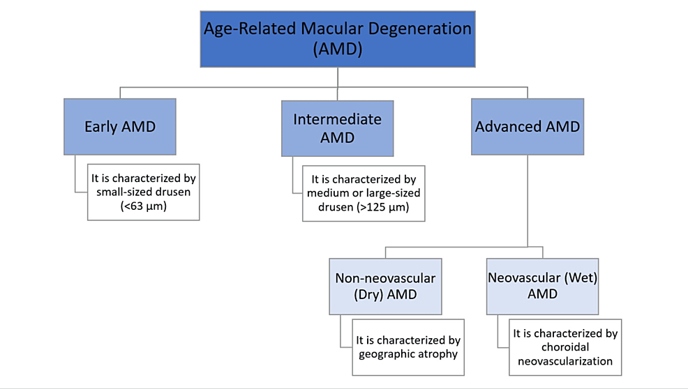 Age-Related Macular Degeneration and Its Association With ...