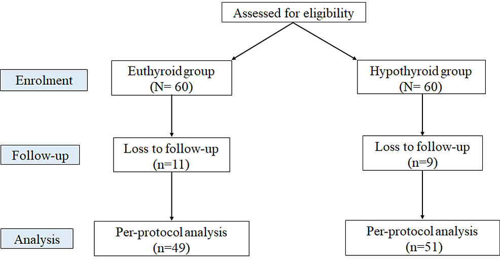 Cureus | Levothyroxine Therapy and Predictors of Cardiovascular Risk in ...