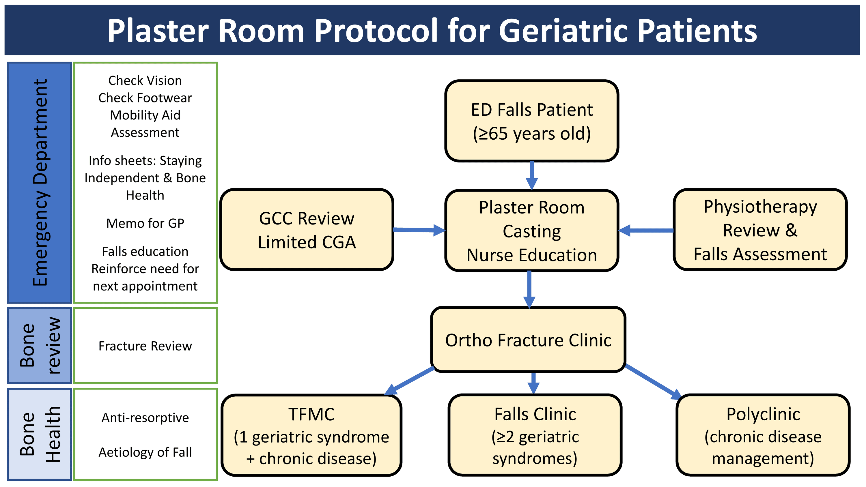 Cureus | Nurse-Initiated Fall and Osteoporosis Screening for Older ...