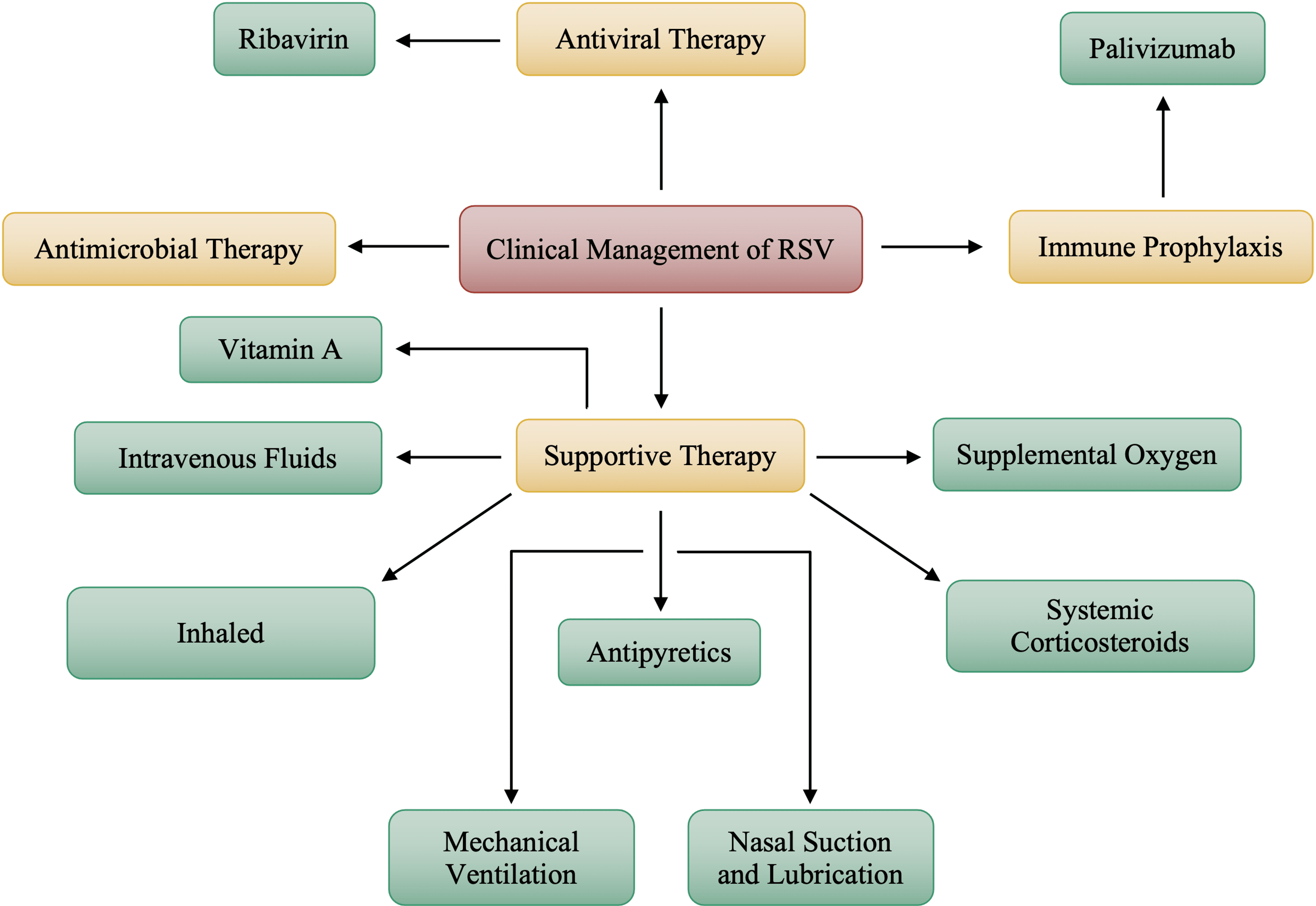 Respiratory Syncytial Virus: A Comprehensive Review of Transmission ...