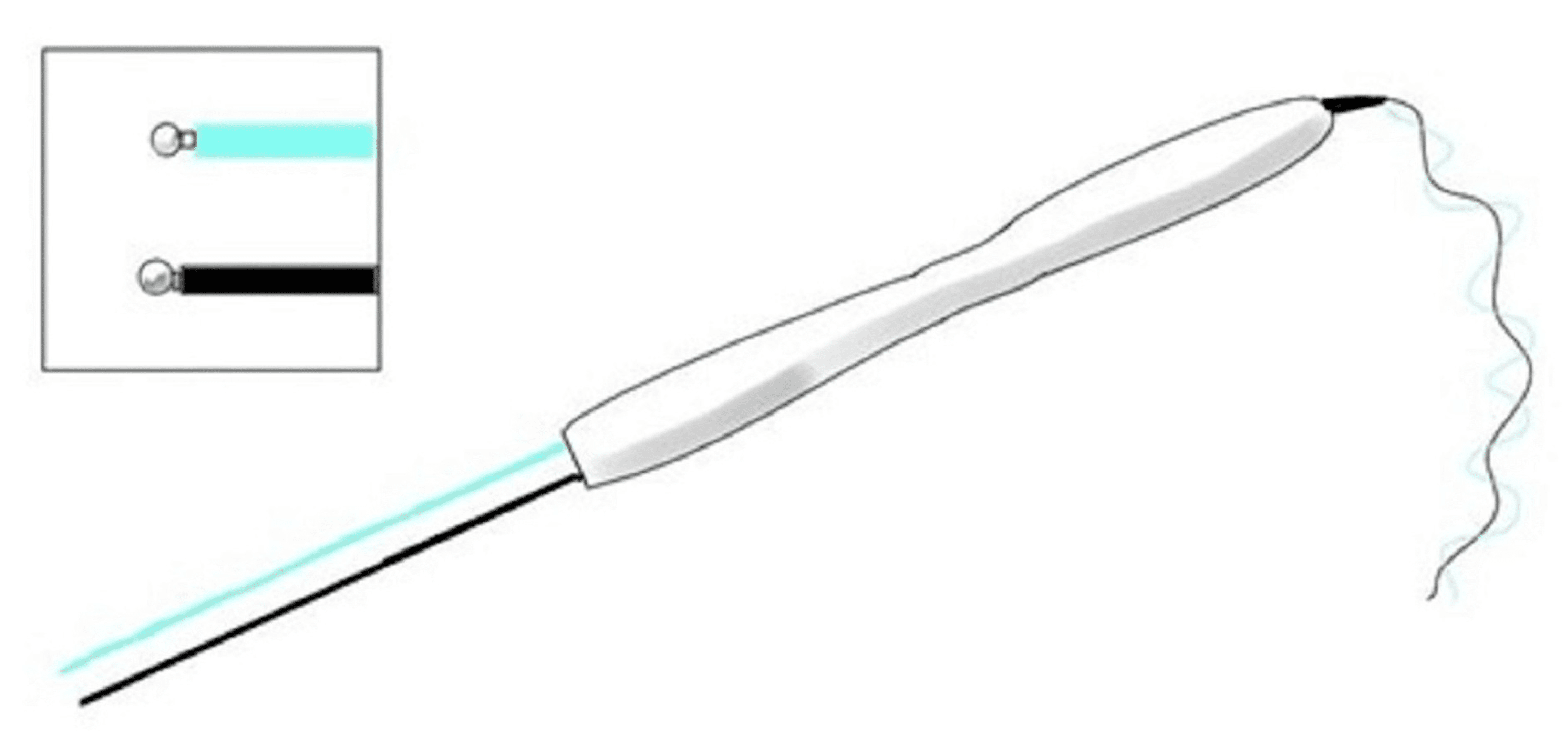 Cureus | Intraoperative Testing During the Mapping of the Language Cortex