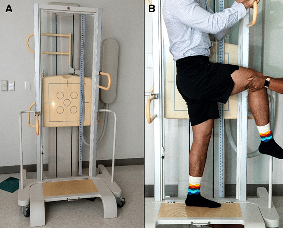 Cureus | The Novel Use of the Lateral Scanogram to Detect Cruciate ...