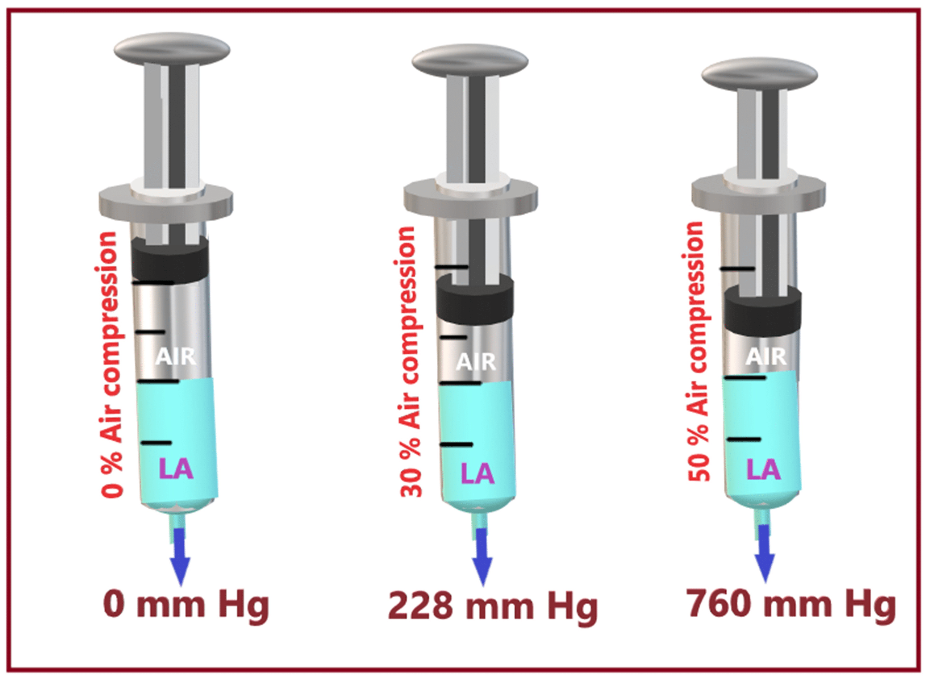 Cureus | “Knowing It Before Blocking It,” the ABCD of the Peripheral ...