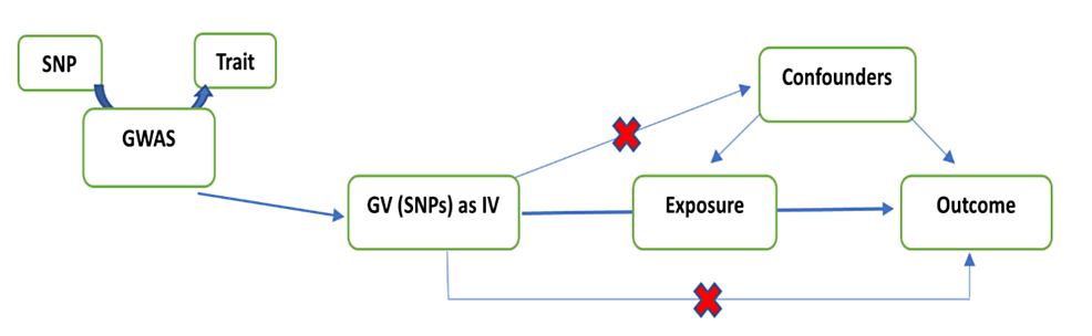 Cureus | Unraveling the Complex Relationship Between Gastroesophageal ...