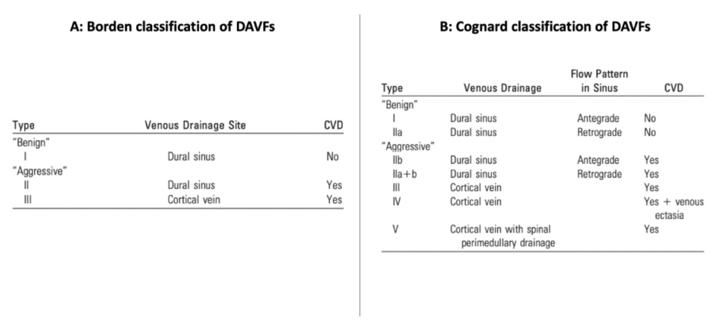 Cureus | Diagnostic Pitfalls of Macrocephaly and Intracranial Dural ...