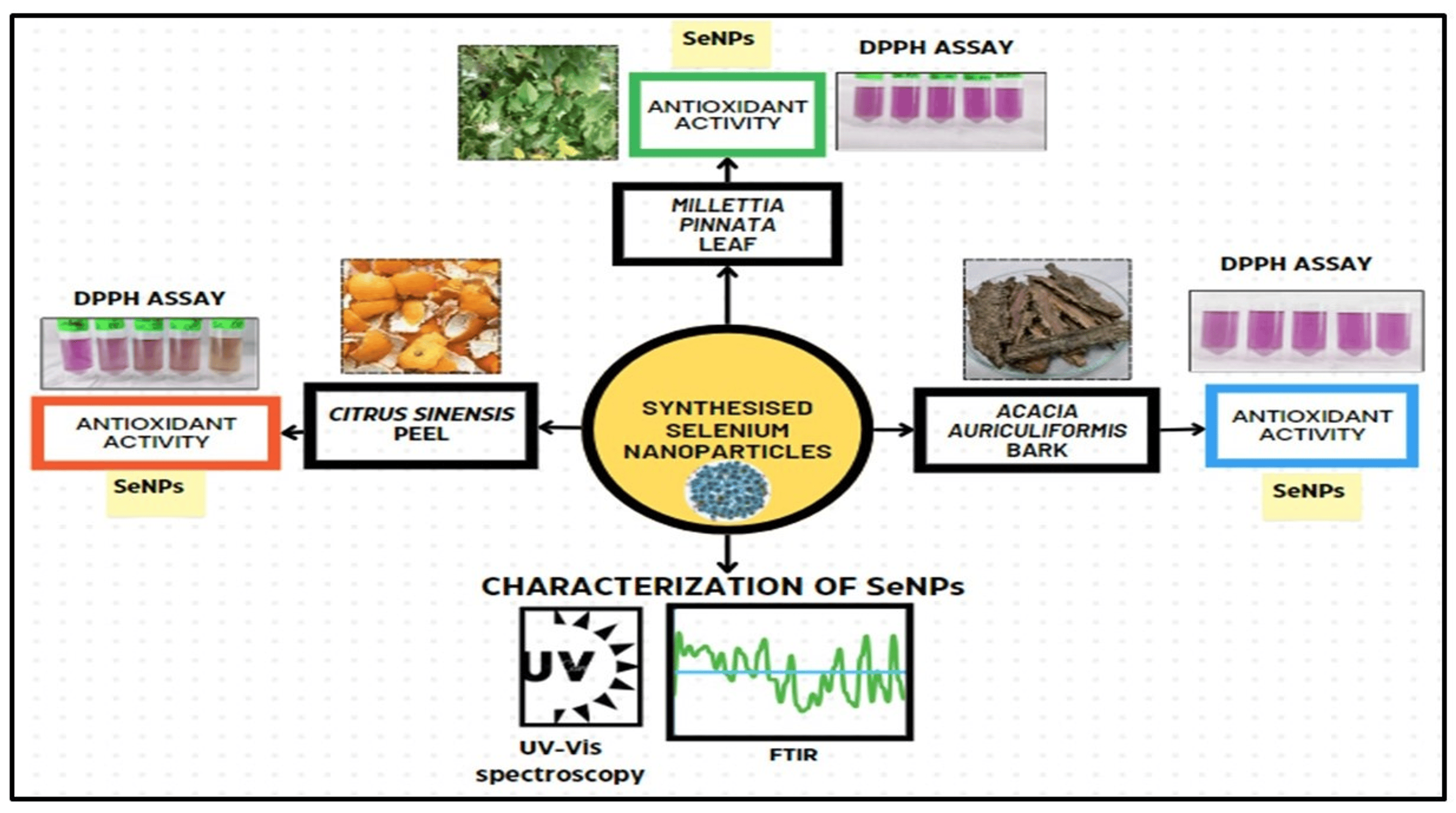 Comparative Antioxidant Efficacy Of Green Synthesised Selenium