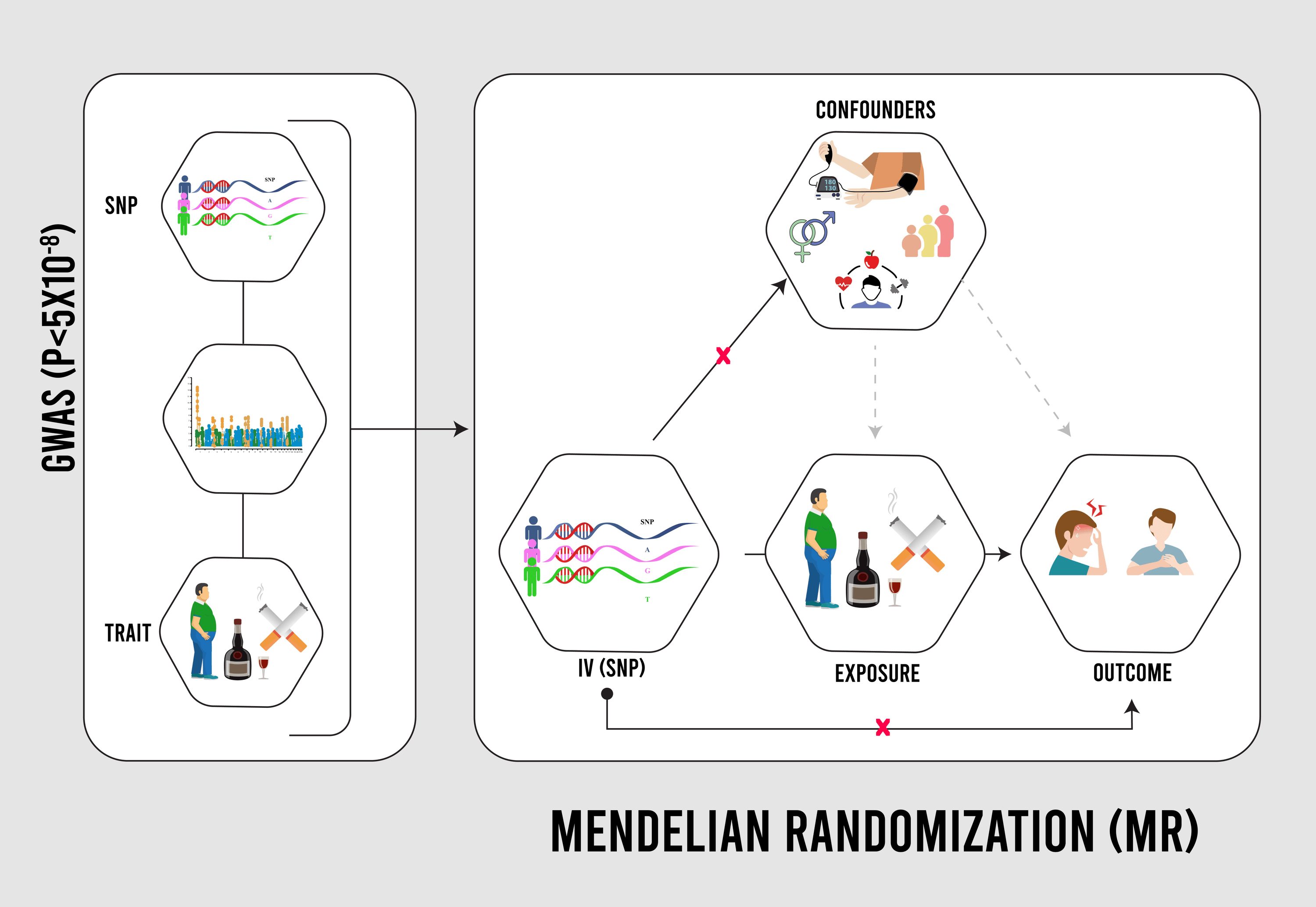 Exploring The Causal Relationship Between Modifiable Exposures And