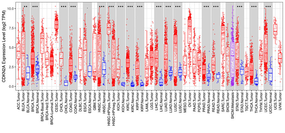 A Comprehensive Pan-Cancer Analysis Reveals Cyclin-Dependent Kinase ...