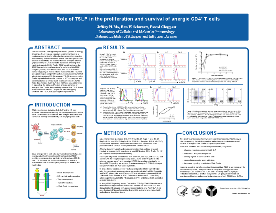 Cureus | Role of TSLP in the Proliferation and Survival of Anergic CD4 ...
